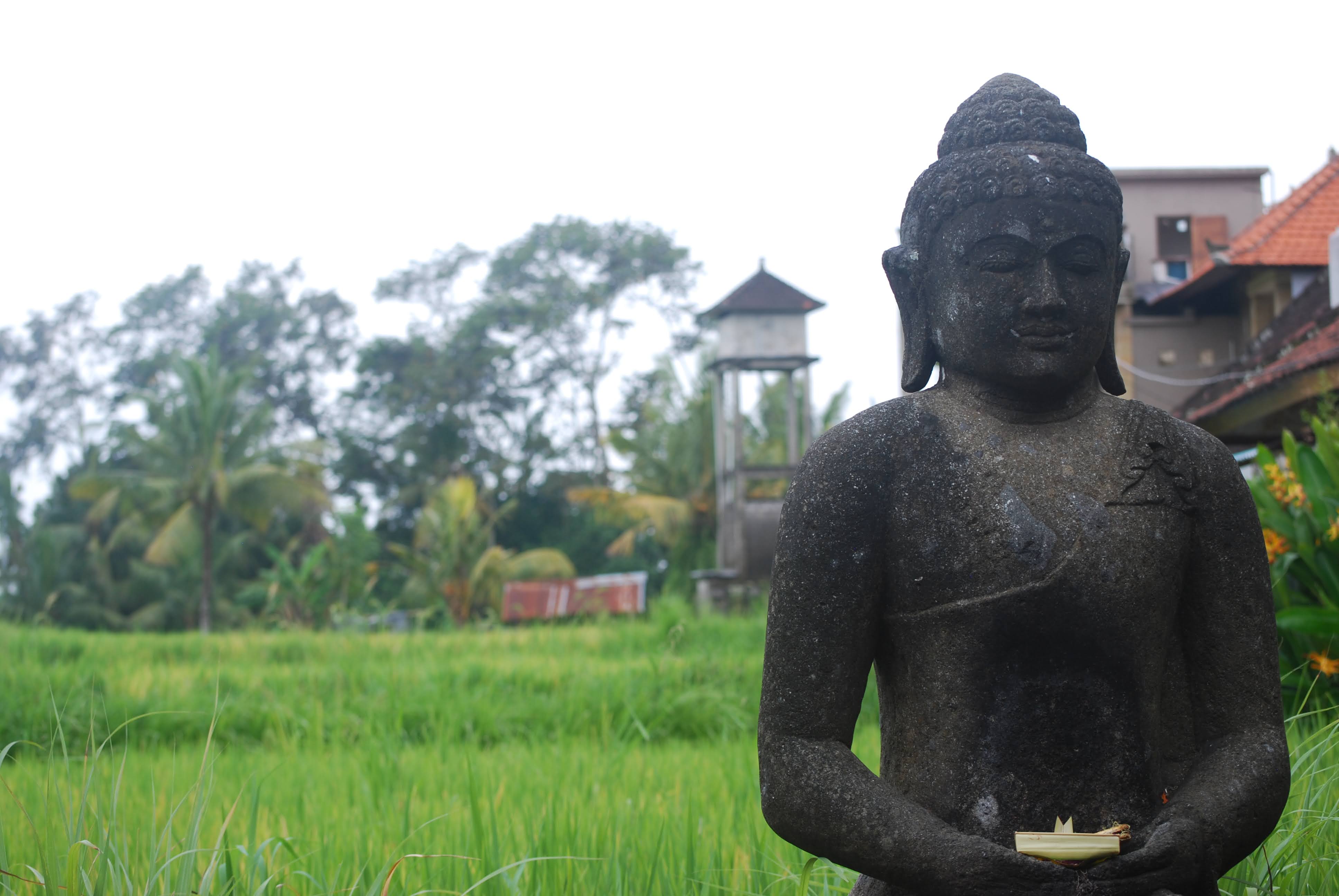 Memories From Bali | Parks' Blog